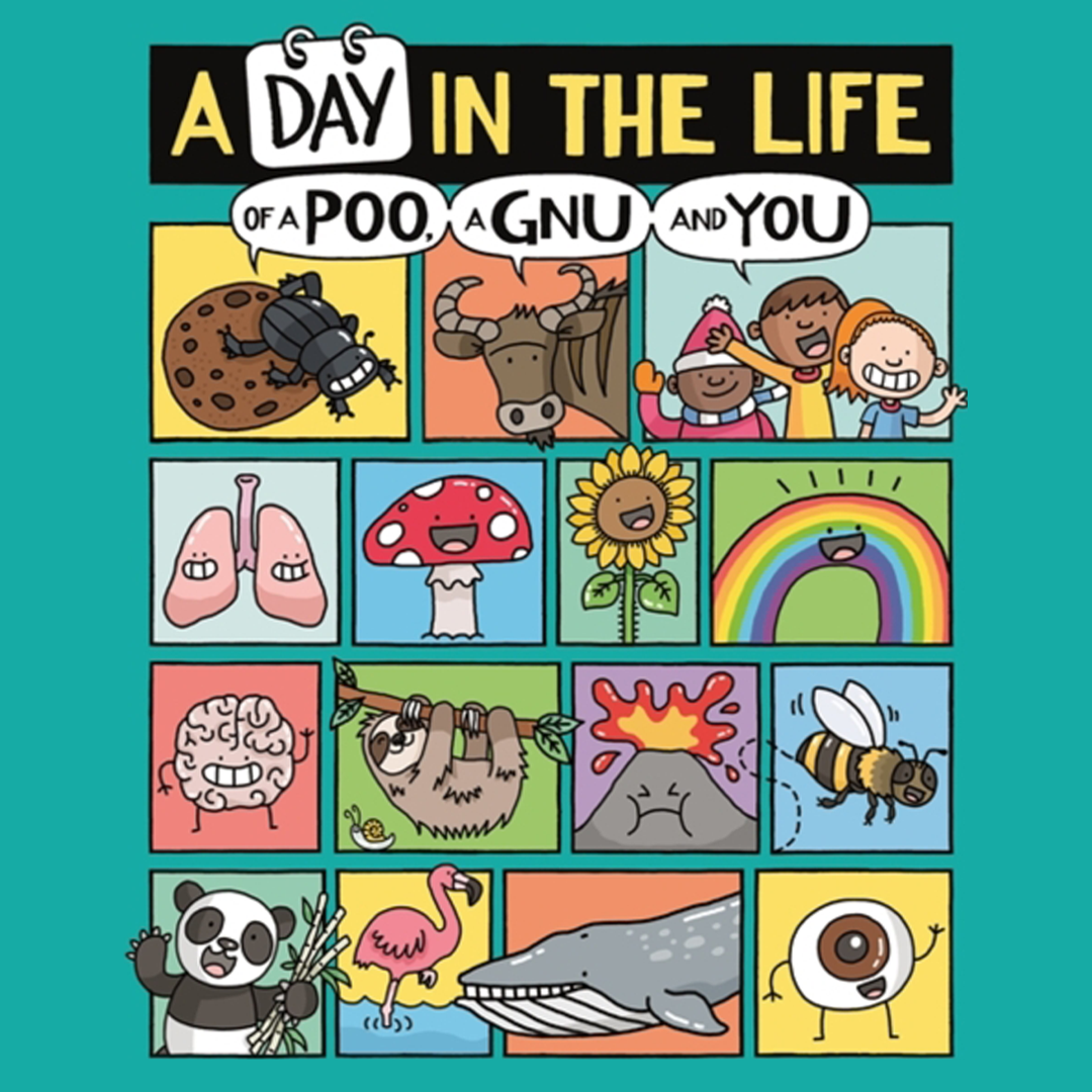 A Day in the Life by Jess Bradley and Mike Barfield - The Phoenix Shop