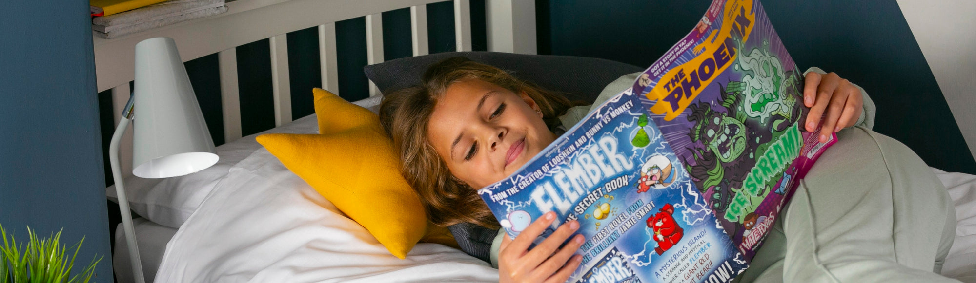 The Phoenix comic subscriptions – The Phoenix Shop